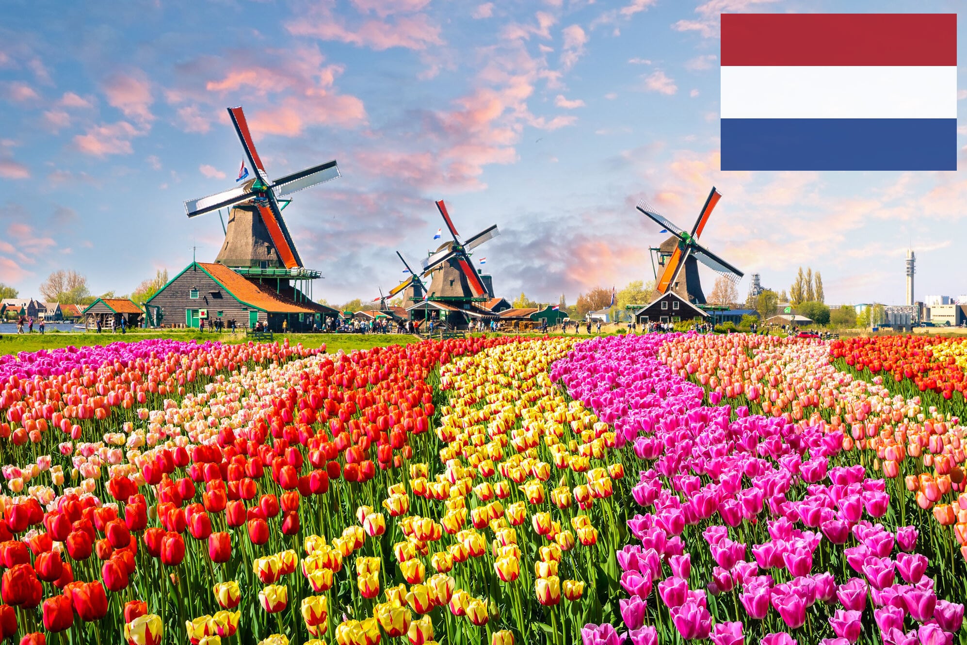 Bandiera dei Paesi Bassi